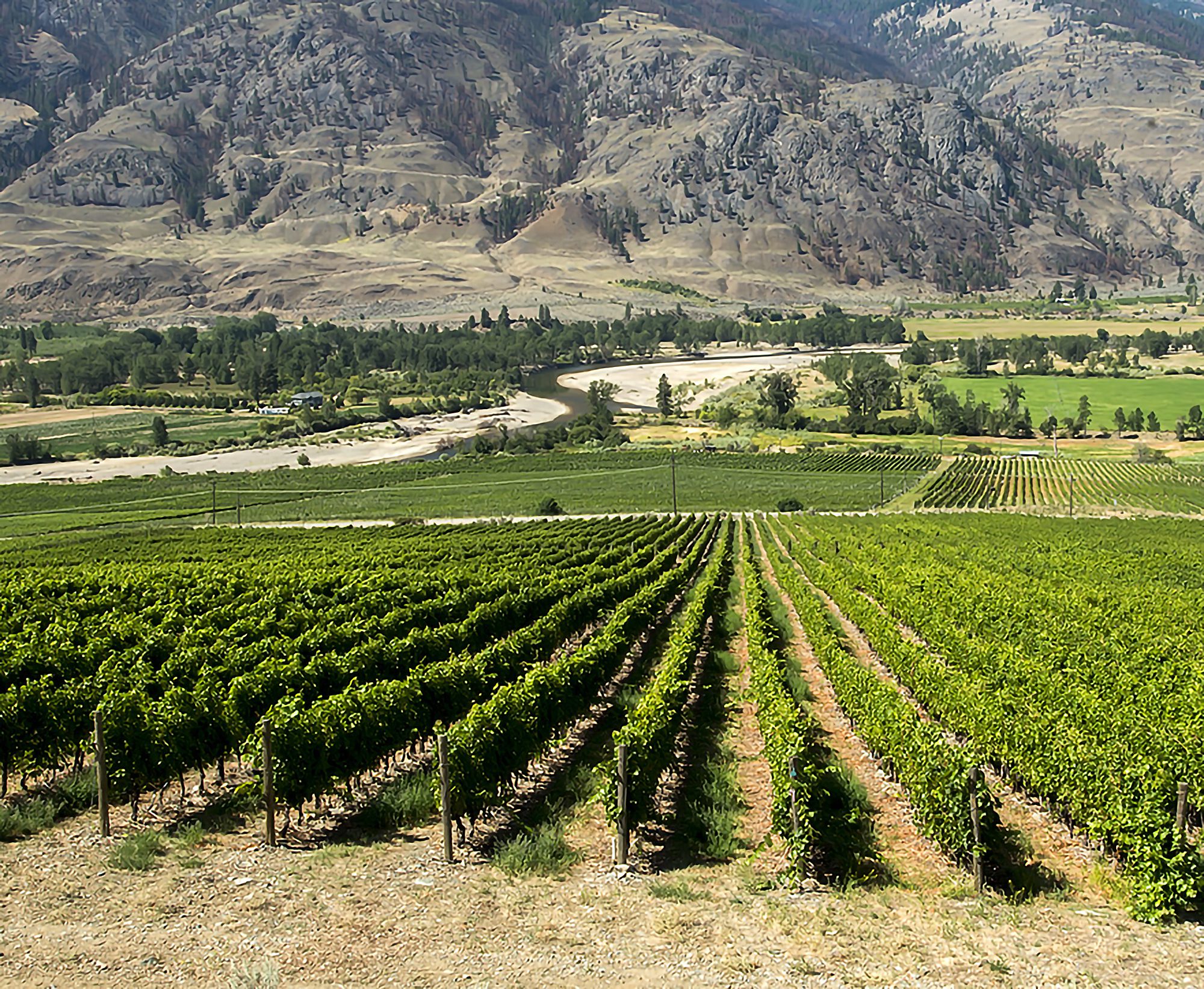 Similkameen Valley Terroir – Similkameen Independent Winegrowers